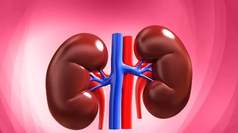 Kidney Surgery