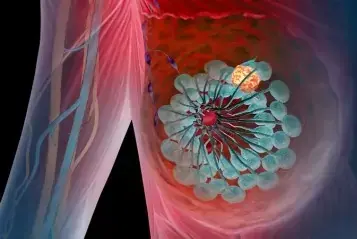 prolactin-what-it-is-function-and-symptoms_image