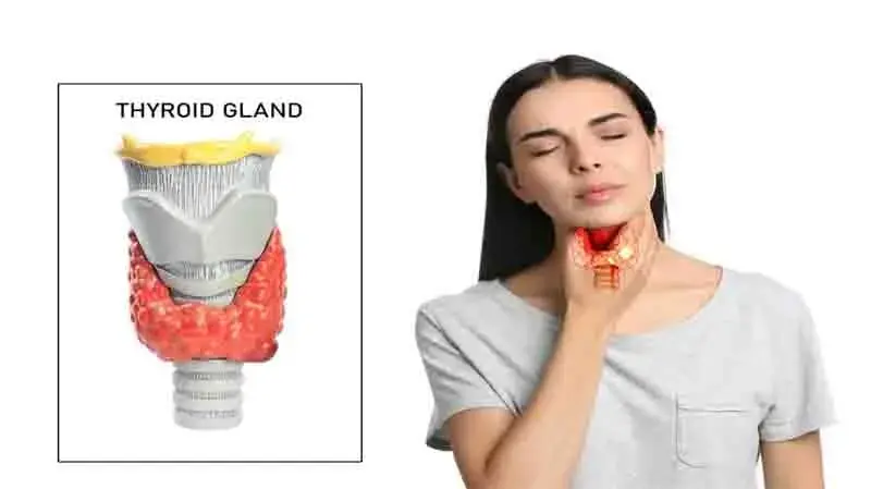 Thyroid Nodule Ablation