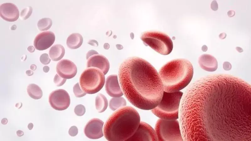 High Red Blood Cell Count: Symptoms, Meaning, Causes