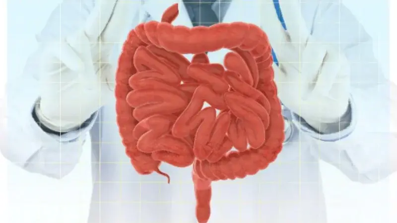 Intestinal transplant types, risks, and success rates explained