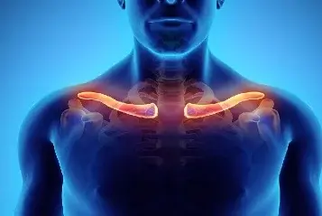 clavicle-collarbone-function-location-and-anatomy_image