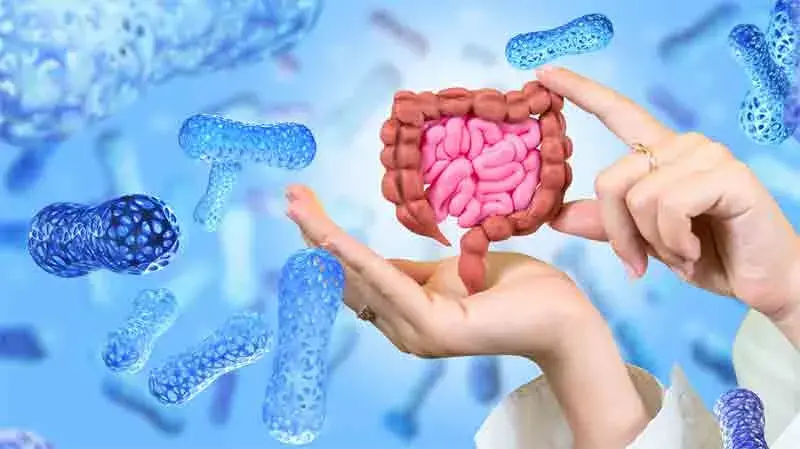 Infections Cause Fatigue