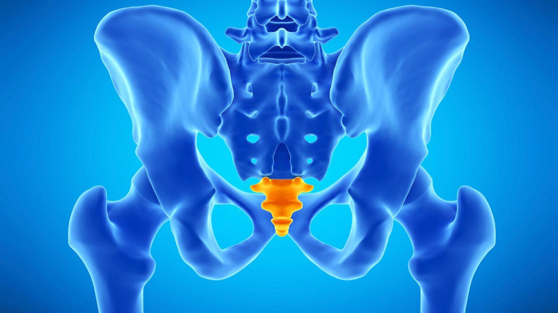 Vertebrae Coccygeal Causes Symptoms Treatment Sacrum (Sacral Region)