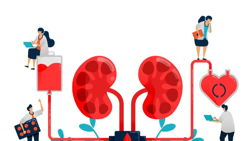 Understanding Continuous Renal Replacement Therapy