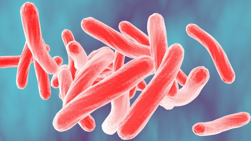 Tuberculosis Diet