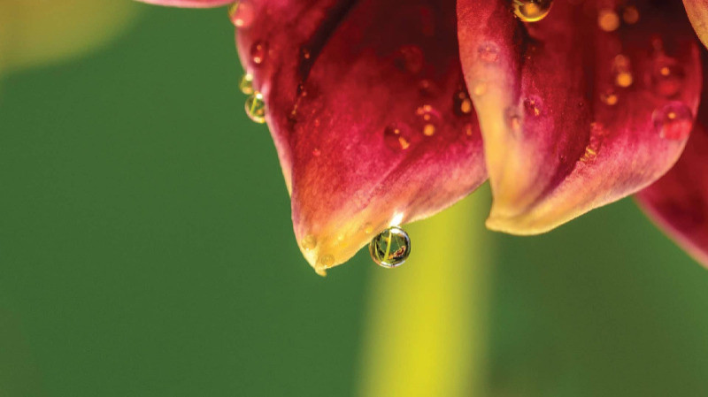 detail_image