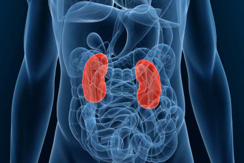 end-stage-renal-disease-causes-symptoms-stages-diagnosis-and-treatment ...